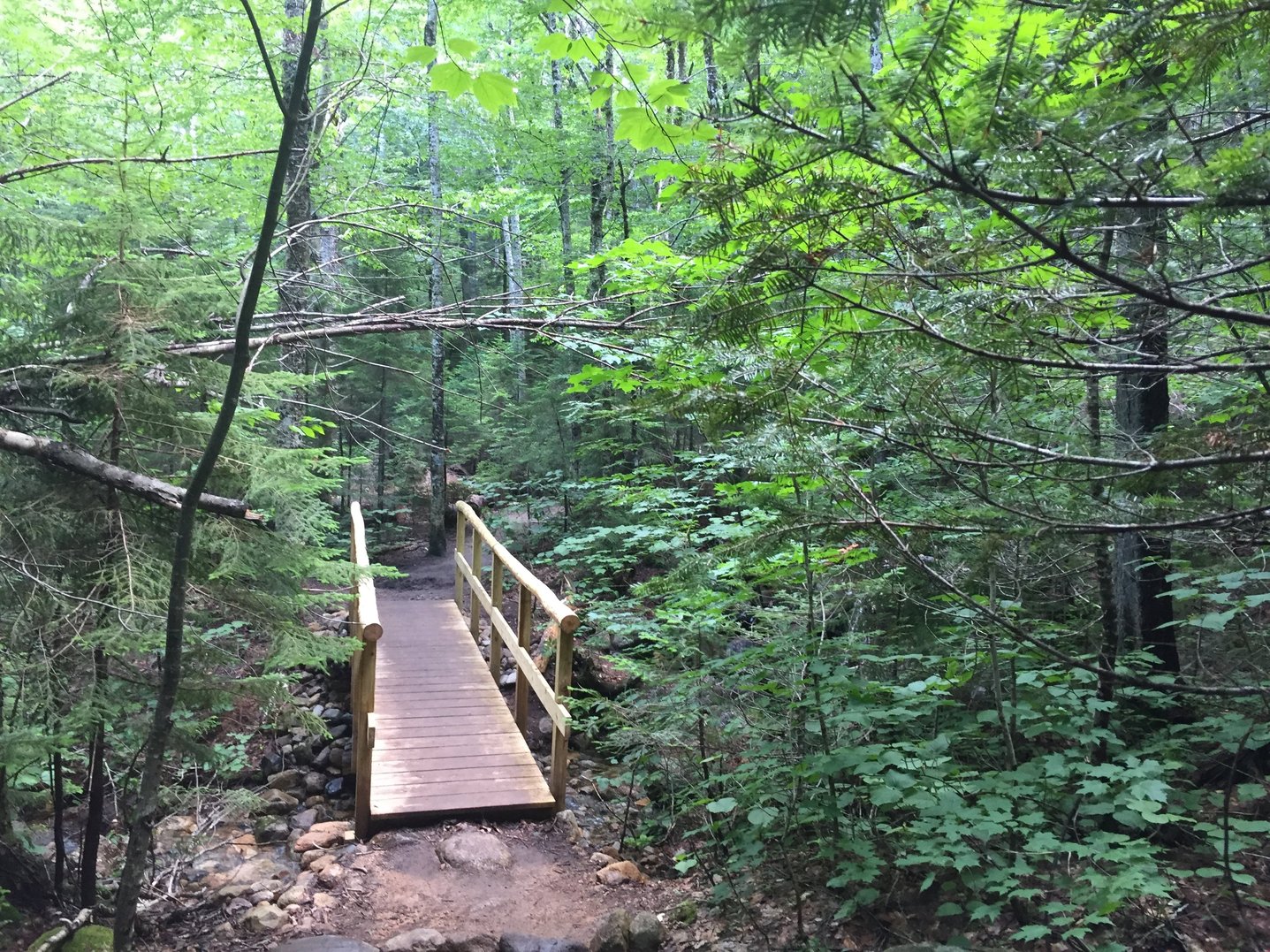 Four Favorite Fall Foliage Hikes in the White Mountains